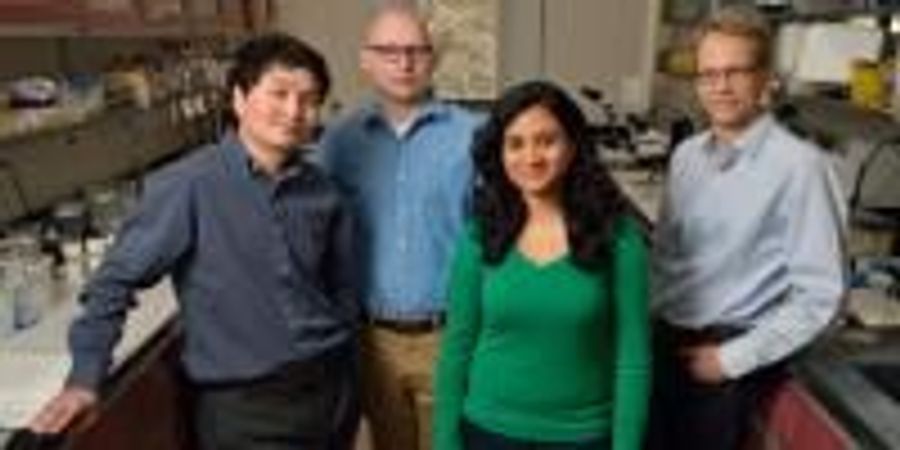 Researchers Use New Technology To Sequence Mosquito Sex Chromosome