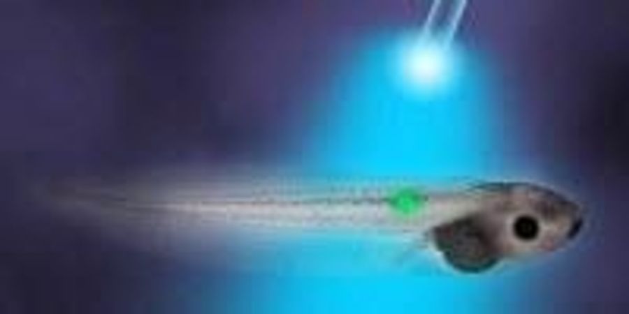 Biologists Apply Optogenetics to Cancer for the First Time | Lab Manager