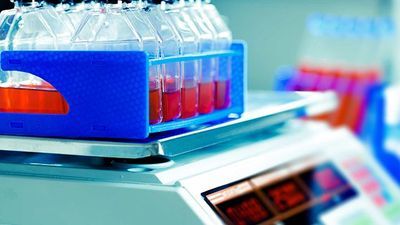 A Primer on Digital Shakers | Lab Manager