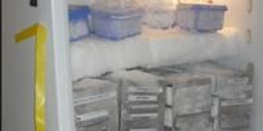 Top 5 Signs that Your Lab Refrigerator , Freezer or Ultra-Low Freezer ...