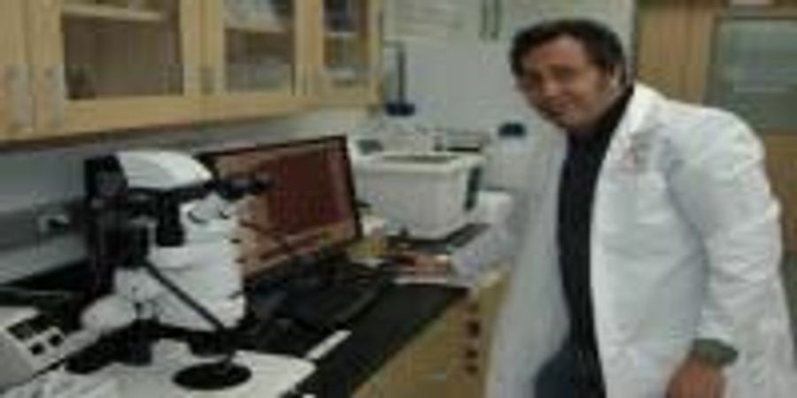 Forensic Botany Uses Plant DNA to Trace Crimes | Lab Manager