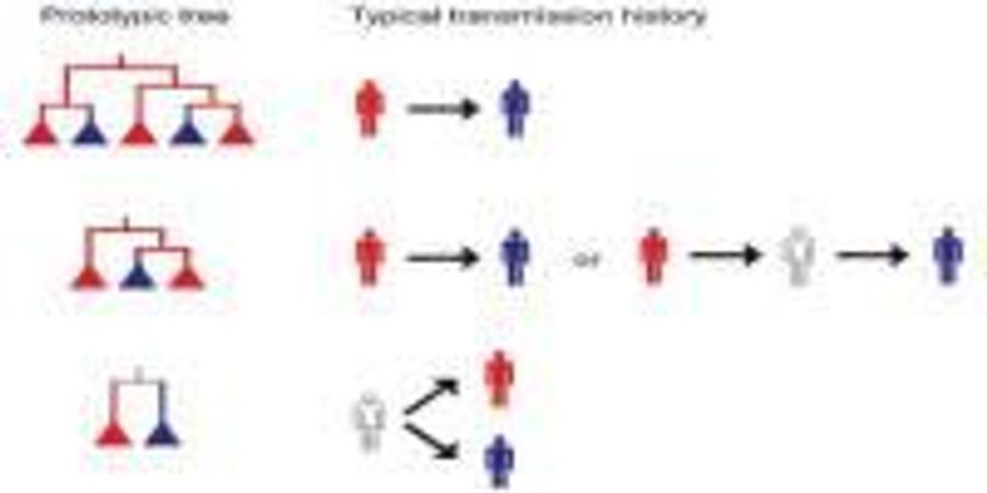 Analyzing Genetic Tree Sheds New Light on Disease Outbreaks | Lab Manager