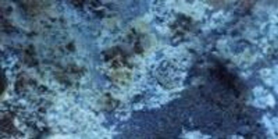 Team Synthesizes a Rare Mineral for the First Time | Lab Manager