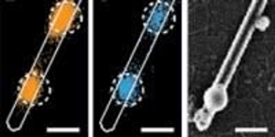 Researchers Seek Efficient Means of Splitting Water | Lab Manager