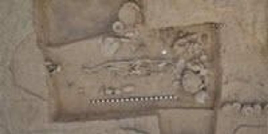 Largest-Ever Ancient-DNA Study Illuminates Millennia of South and ...