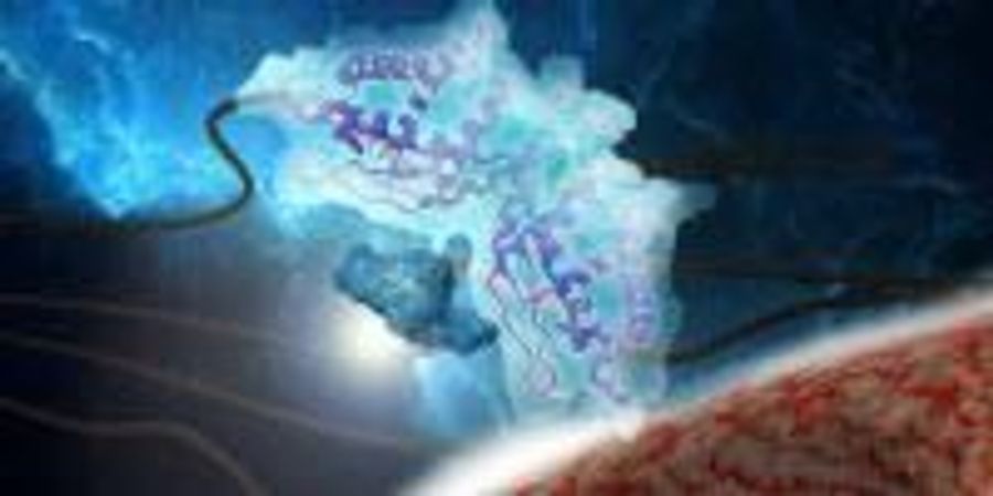 Microbes Take Their Vitamins–for the Good of Science | Lab Manager