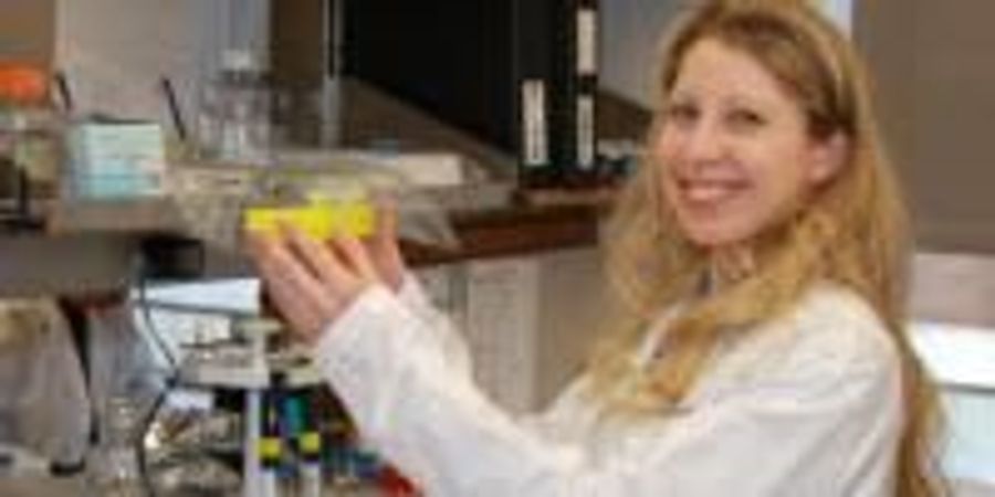 New Study to Investigate How Good Antibodies Go Bad | Lab Manager