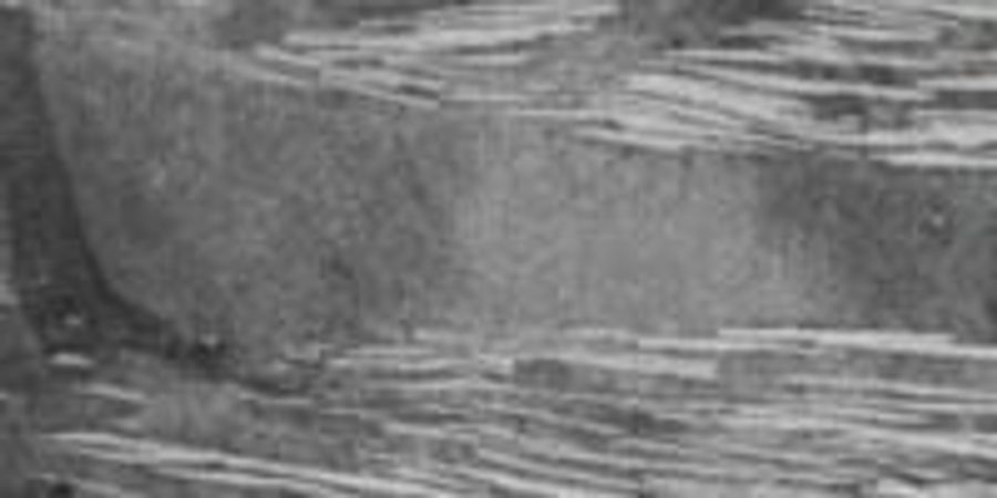 Shiny Fish Skin Inspires Nanoscale Light Reflectors | Lab Manager