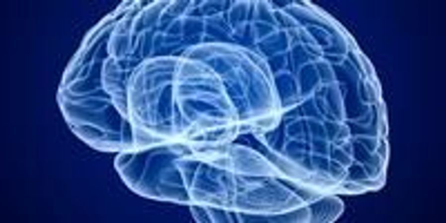 Brain Structure May Be Root of Apathy | Lab Manager