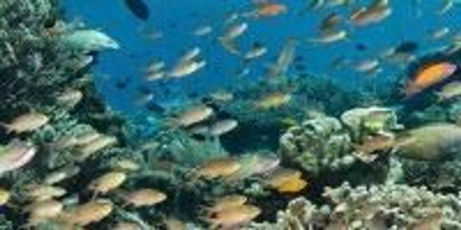 Thermal Sensitivity of Marine Communities Reveals the Most Vulnerable ...