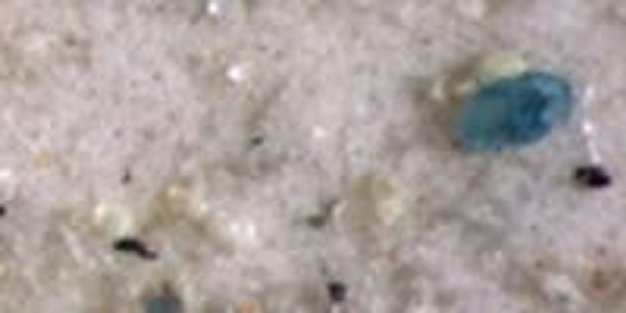 Commercial Sea Salt Samples Purchased in China Contaminated with ...