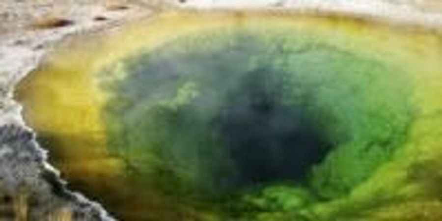 CinderBio Harnesses Extreme Microbes for Greener Industry | Lab Manager