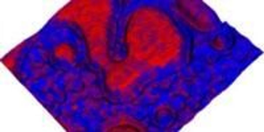 Novel Device Combines Power of Mass Spectrometry, Microscopy | Lab Manager