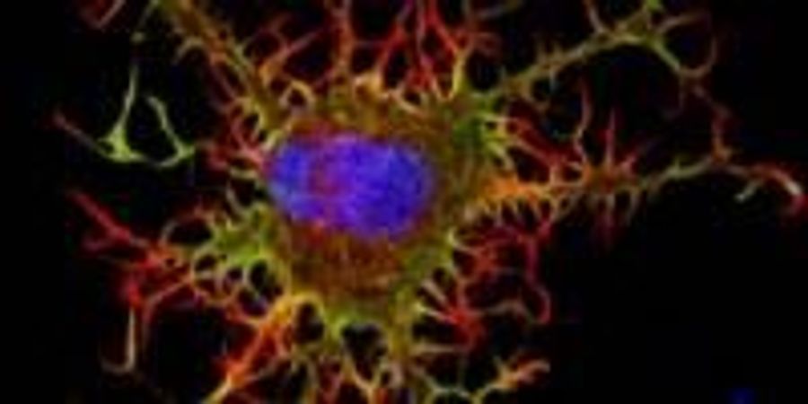 A Halloween-Inspired Cell Collection | Lab Manager