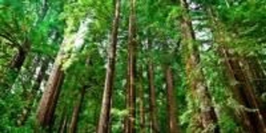 Experts Release Report with Solutions to Slow Climate Change | Lab Manager