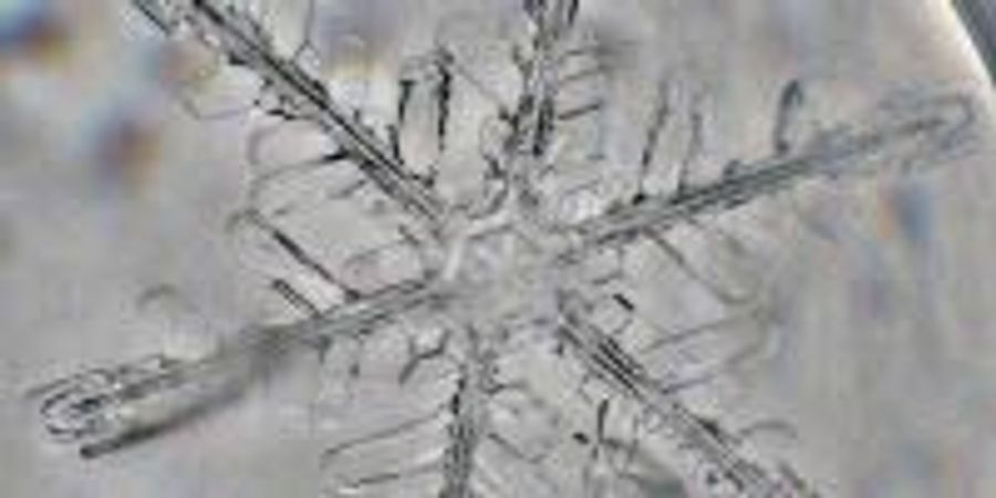 Chipping Away at the Secrets of Ice Formation | Lab Manager