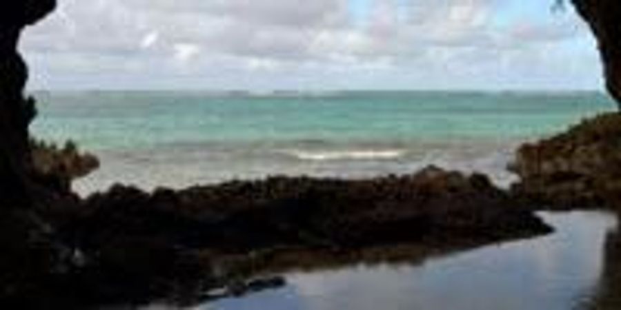 Ancient Fossils Reveal Humans Were Greater Threat than Climate Change ...