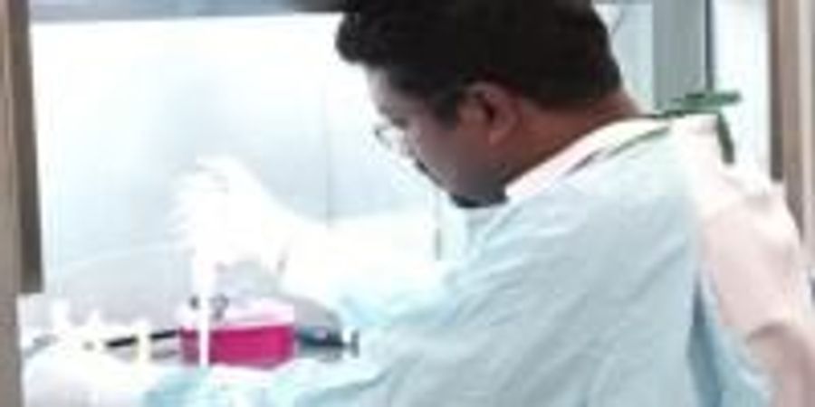 3D Cell Growth Opens New Pathway for Spinal Cord Repair | Lab Manager