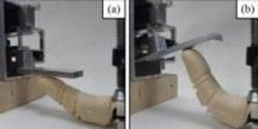 Bio-Inspired Robotic Finger Looks, Feels and Works Like the Real Thing ...