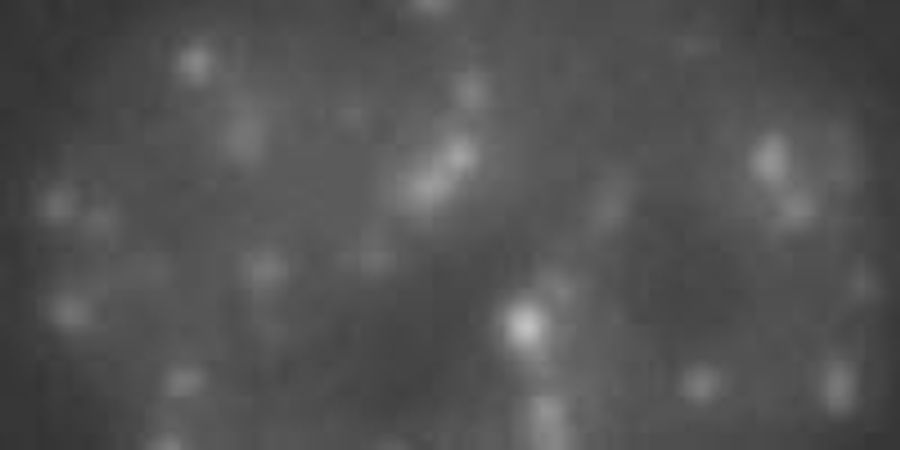 A New Look at How Cells Repair DNA Damage | Lab Manager