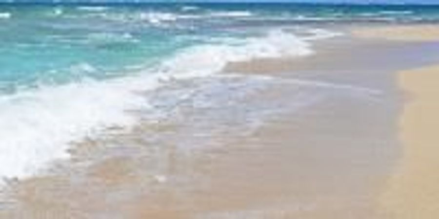 Health Concerns in Beach Sand | Lab Manager