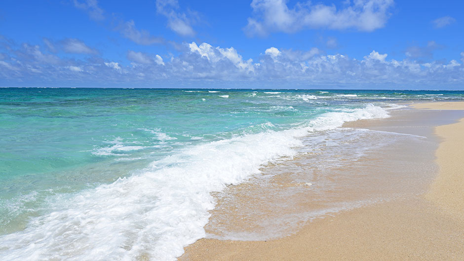 Health Concerns in Beach Sand | Lab Manager