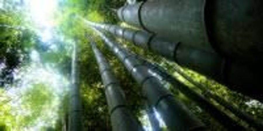 Powerful Microscope Solves Plant Virus Mystery | Lab Manager