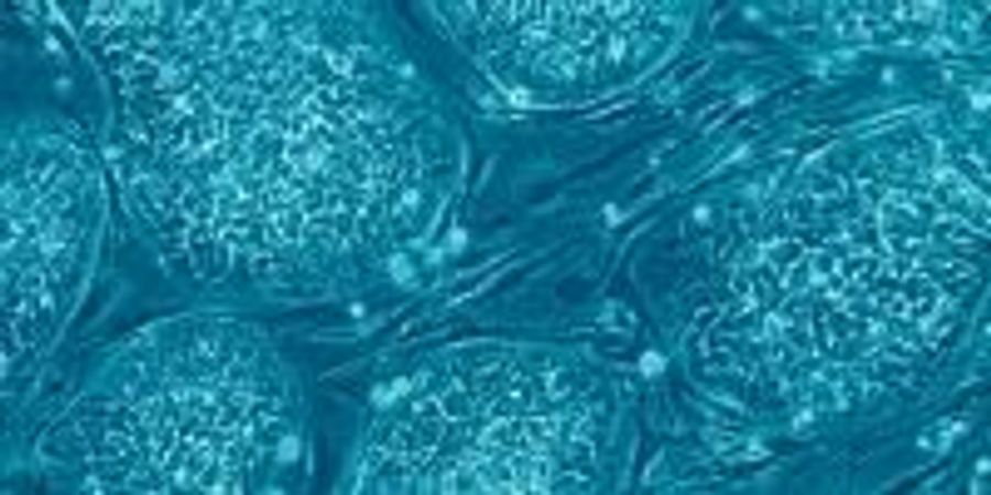 Advancing Next-Gen Cell Culture Tech | Lab Manager