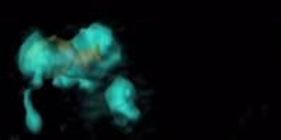 All About Zombie Cells | Lab Manager