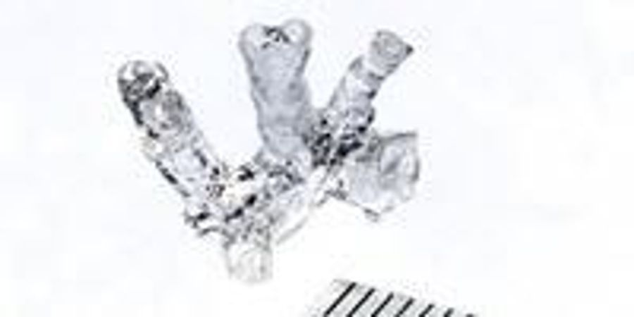 Bioprinting Complex Living Tissue in Just a Few Seconds | Lab Manager