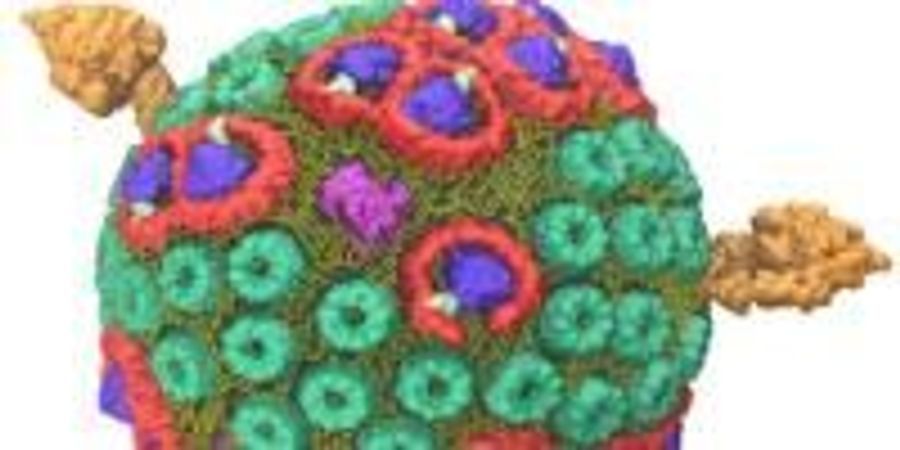 Researchers Build Bacteria’s Photosynthetic Engine | Lab Manager