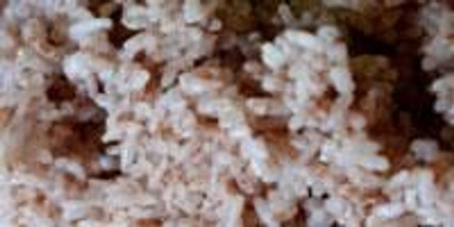 Researchers Discover Simple Solution to Worrying Levels of Arsenic in ...