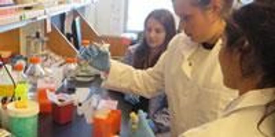 Budding Scientists Do Hands-on Lab Work as Part of Summer Research Week ...