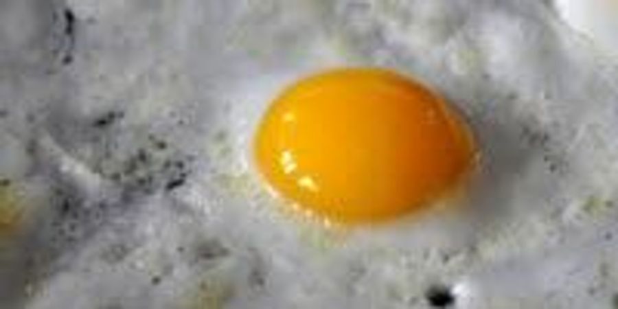 This is Your Brain on Fried Eggs | Lab Manager
