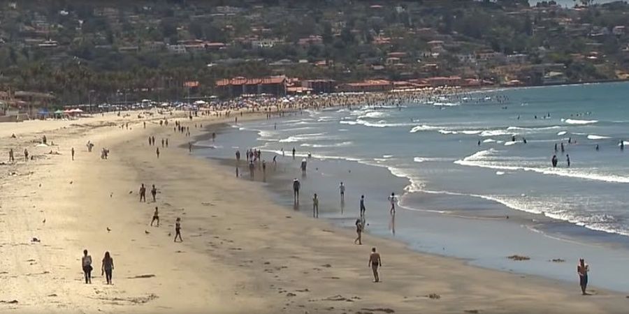 The Science Behind the Smell of the Sea | Lab Manager