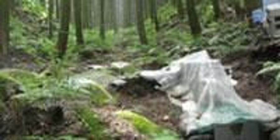 When Trees Aren’t ‘Green’ | Lab Manager