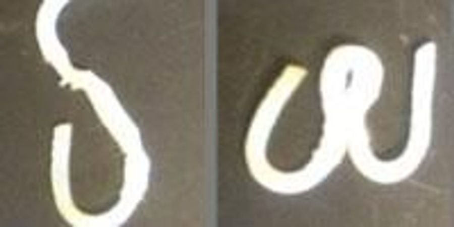 Shape-Shifting Plastic | Lab Manager