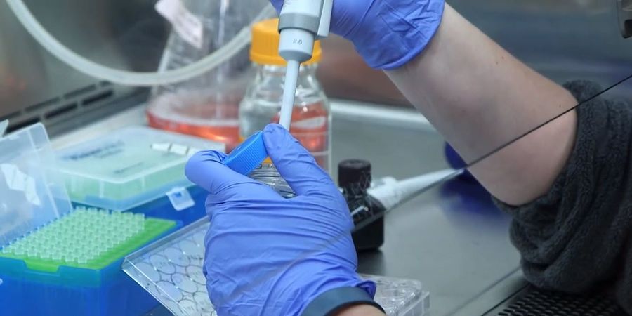 Chemical Engineer Grows Human Cells in Hydrogels | Lab Manager