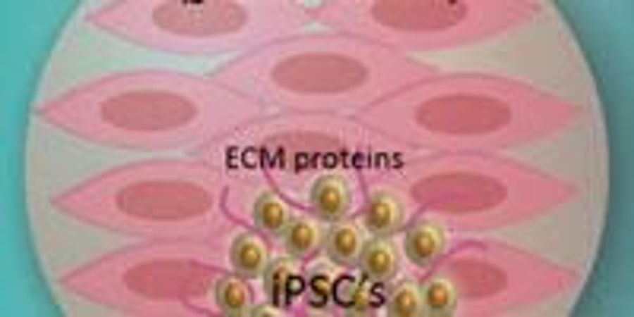 Discovery Suggests Simpler Method to Grow Stem Cells | Lab Manager