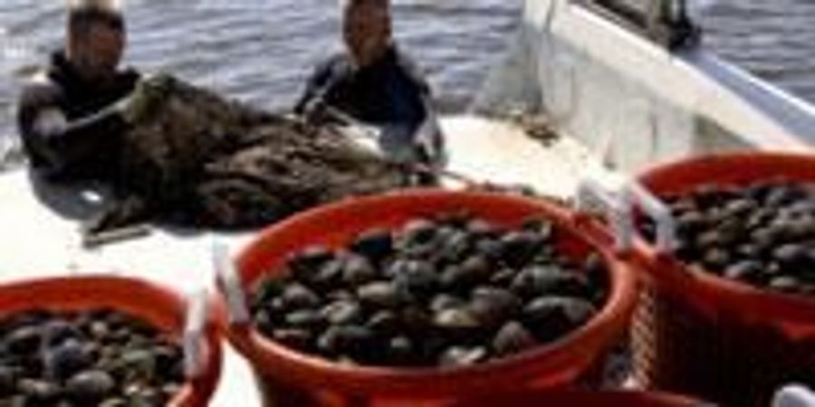 Study Shows Seafood Samples had No Elevated Contaminant Levels from Oil ...