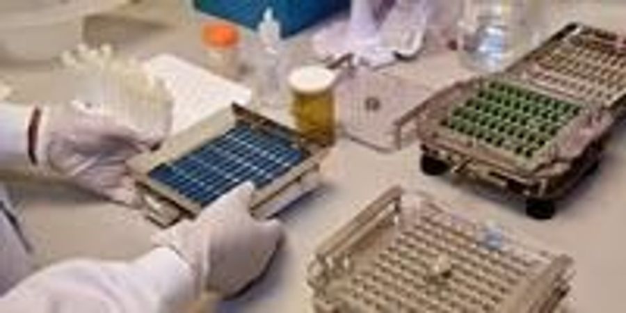 Could Microorganisms in Poop Help Treat the Deadliest Form of Skin ...