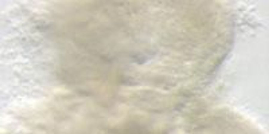 Scientists Coax Stem Cells to Form 3-D Mini Lungs | Lab Manager