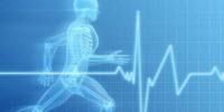 Newly Discovered Hormone Mimics the Effects of Exercise | Lab Manager