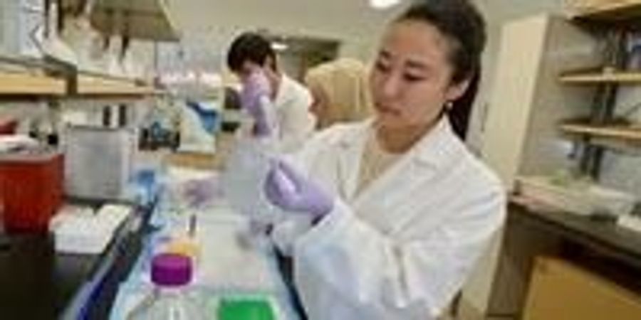 Study Shows Positive Lab Environment Critical for Undergraduate Success ...