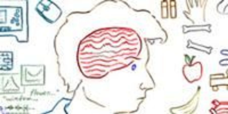 New Insight on How Brain Performs ‘Mental Time Travel’ | Lab Manager