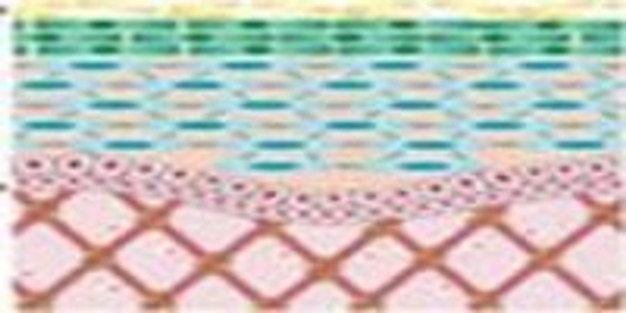 Making a Better Wound Dressing—with Fish Skin | Lab Manager