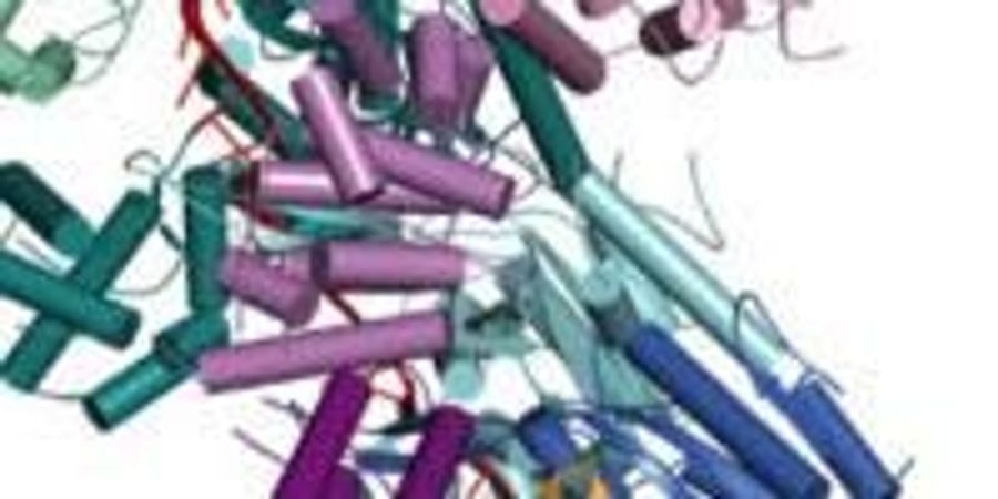 Record Keeping Helps Bacteria’s Immune System Fight Invaders | Lab Manager