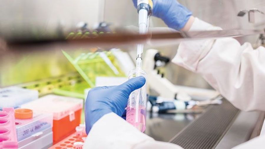 The Fume Hood: Your Life Depends on It | Lab Manager