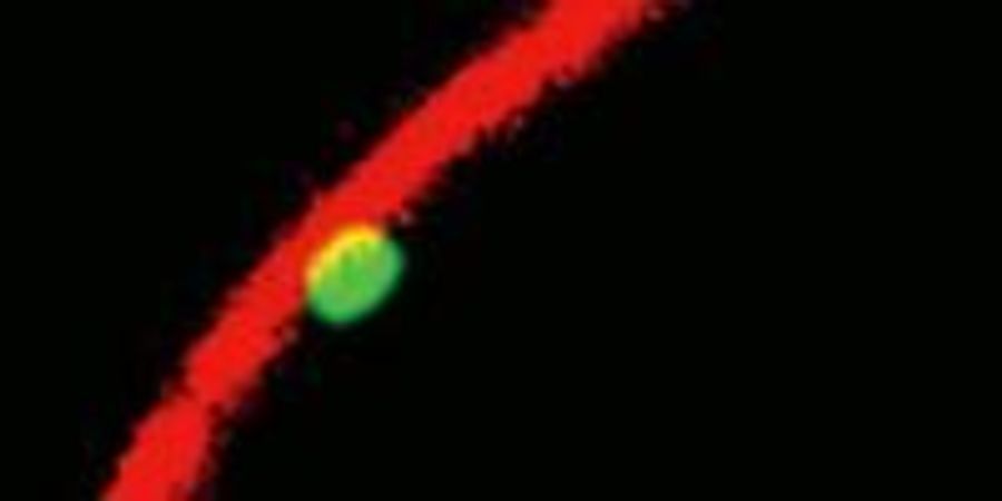 When DNA Gets Sent to Time-Out | Lab Manager