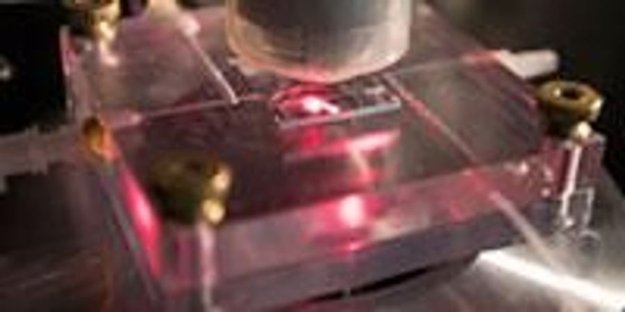 The Human Eye can See ‘Invisible’ Infrared Light | Lab Manager